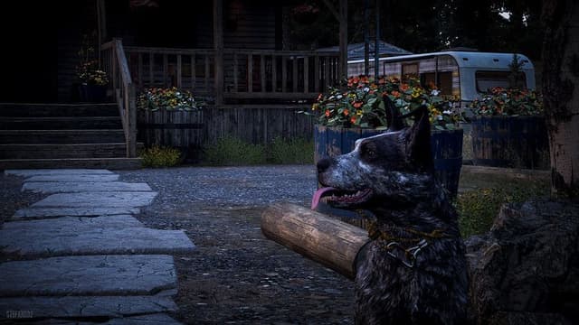 Numbers in C++ | StudyPlan.dev